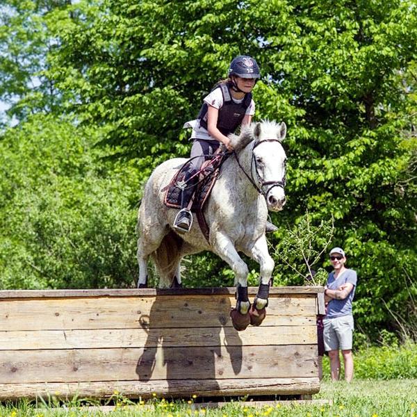 Kleinpferde & Ponies